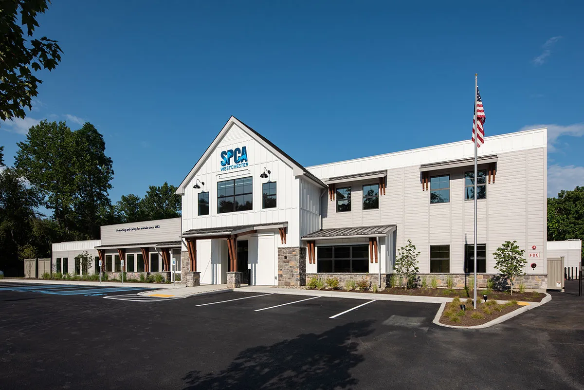 Animal Hospital Construction in NY: BBL Design & Build for Animal Care ...